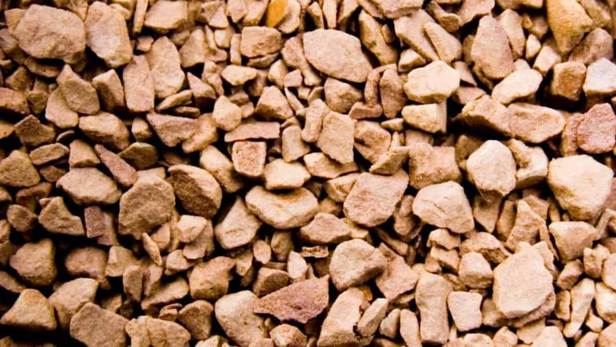 Ground Coffee vs Espresso Powder (Are They The Same?) – Not Not Coffee